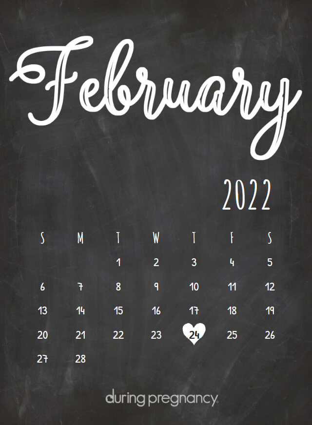 How Far Along Am I If My Due Date Is February 24 2022 How Far Along Am I If My Due Date Is February 24 2022