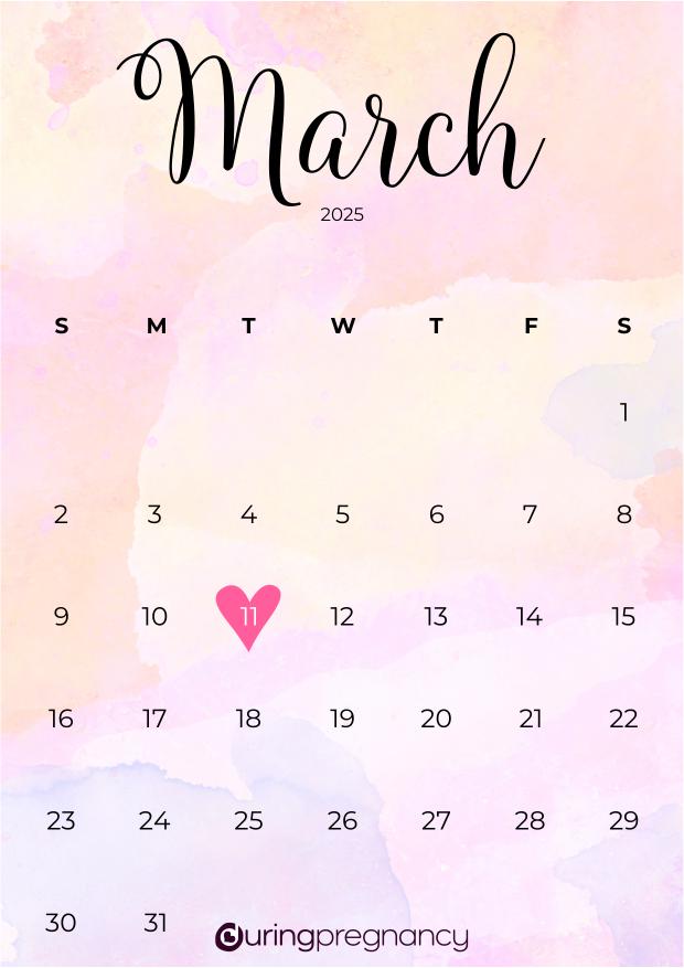 Your Due Date: March 11, 2025