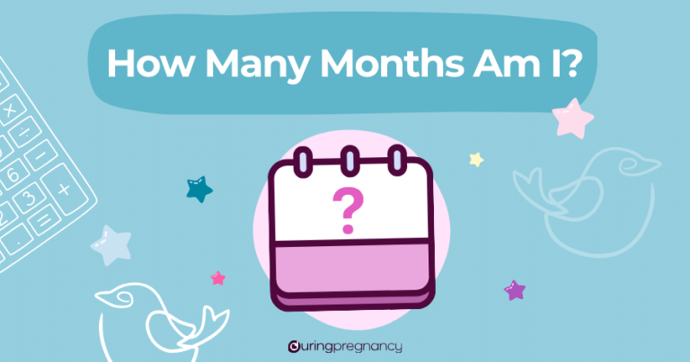 12 Weeks Pregnant – During Pregnancy